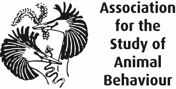 PIZZA CHOW – Squirrels' vs. Parrots' cognition